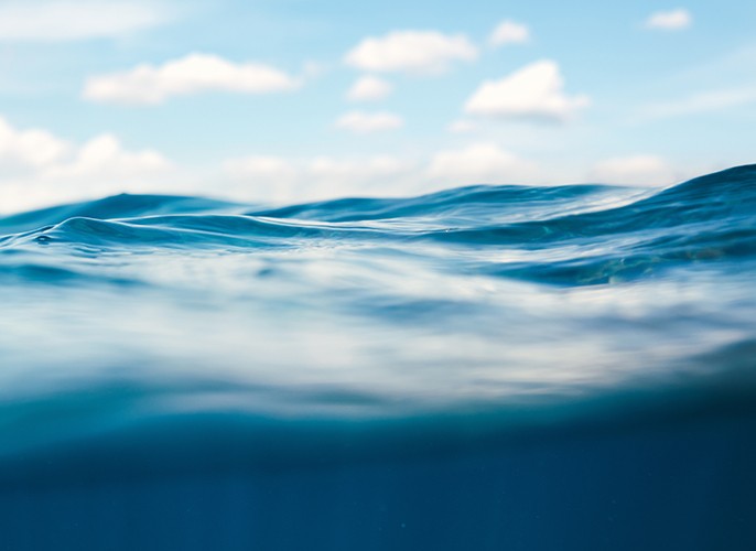 Water, Air and Pentair: Supporting World Environment Day | The Pentair ...