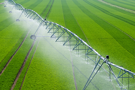 Agricultural Products | Spray & Irrigation Solutions | Pentair