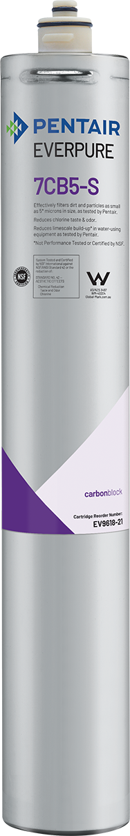 Everpure CB5-S Replacement Cartridges